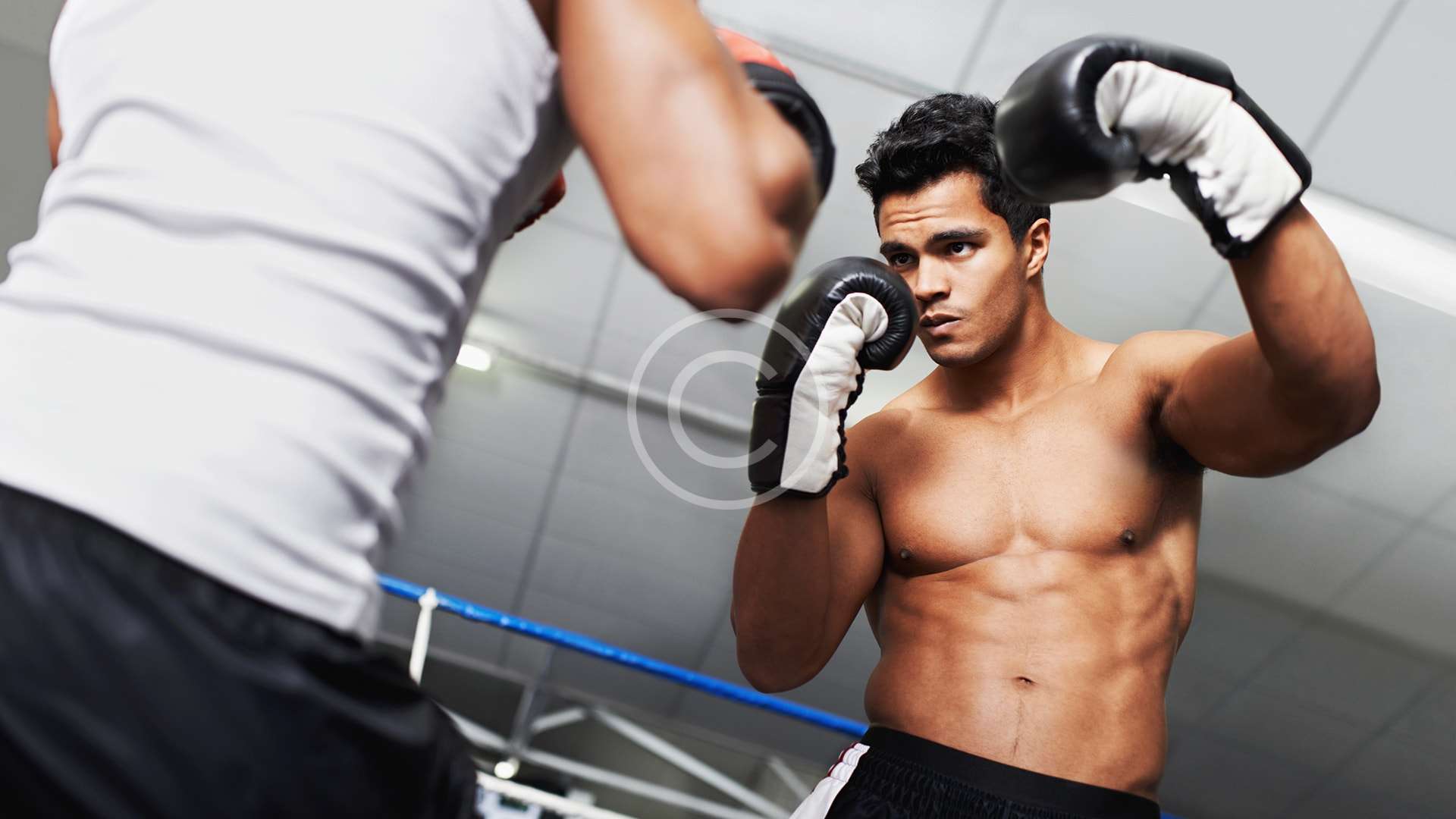 The Benefits of Cross-Training in Multiple Combat Disciplines – Wasatch ...